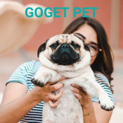 GoGet Malaysia | On Demand Work App For Everyone